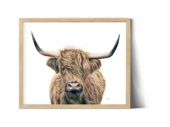 Highland Cow Modern Colored Pencil Drawing Print | Etsy