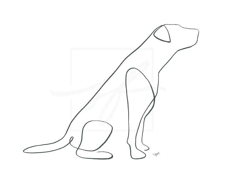 Minimalist Labrador Retriever Single Line Art Digital - Etsy