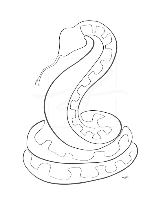 Snake Drawing