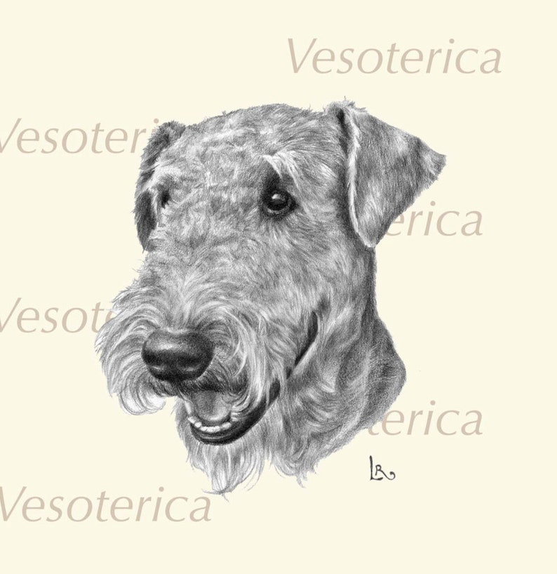 Printable Airedale Terrier Digital Image Pet Animal Download Graphic ...