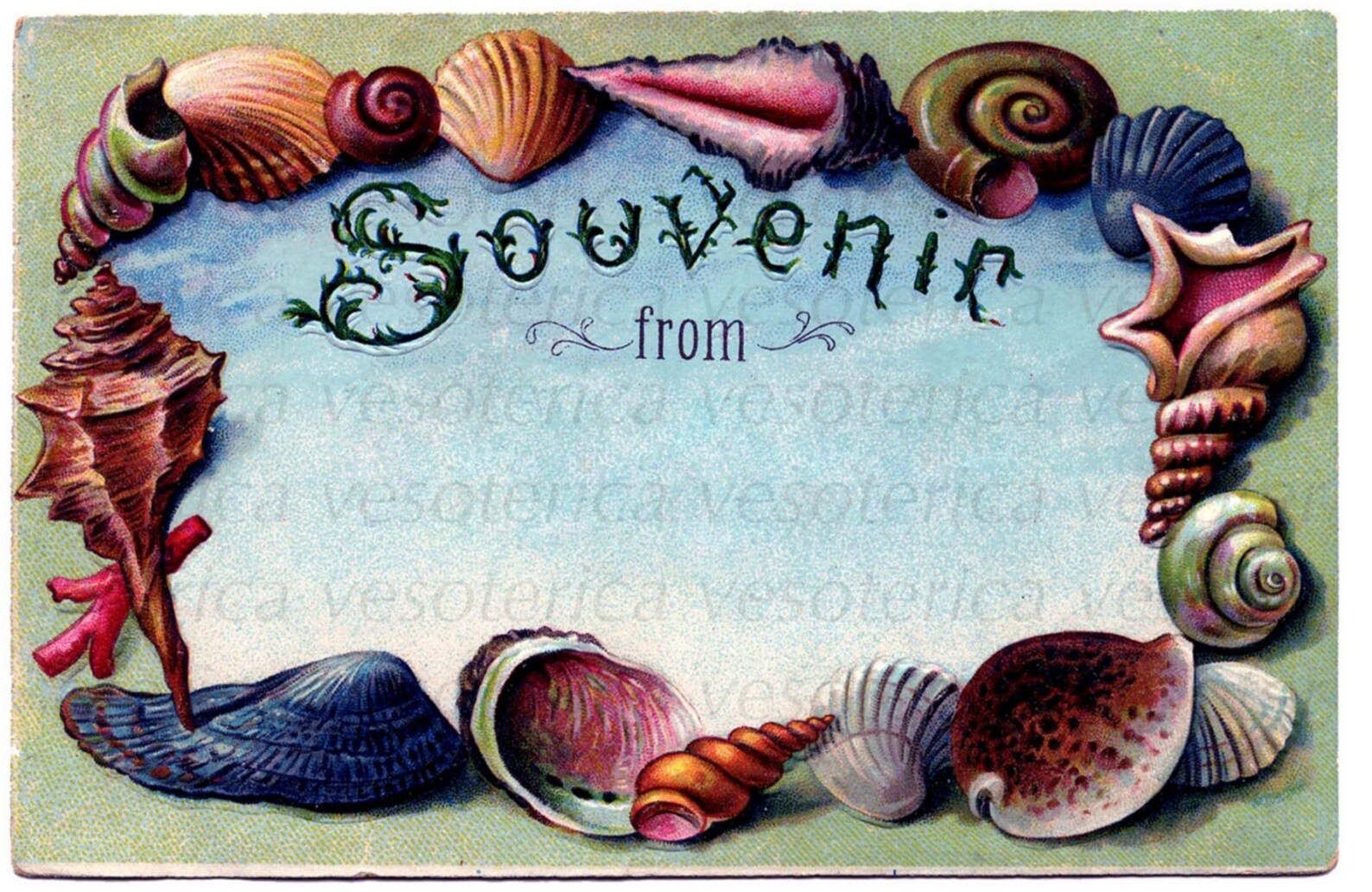 3 Different Files - Sea Shell Postcard Digital Download Vintage Look ...