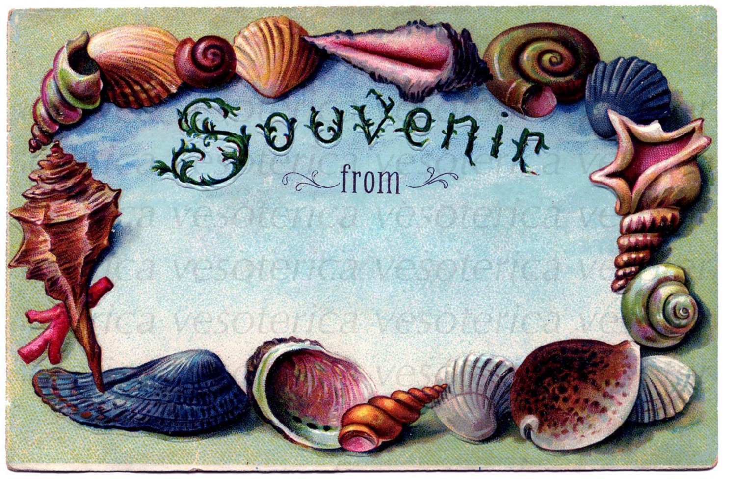 3 Different Files - Sea Shell Postcard Digital Download Vintage Look ...