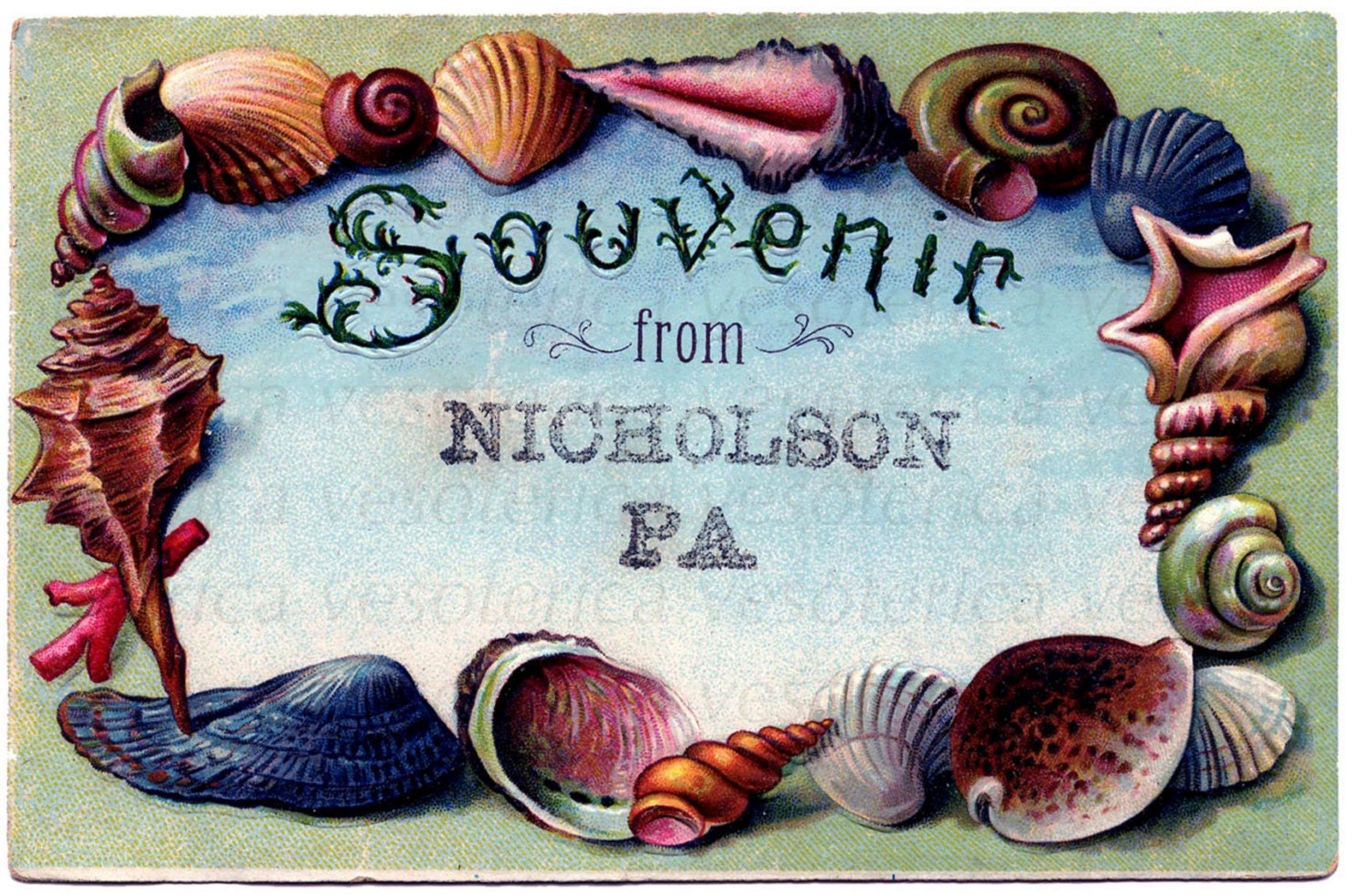 3 archivos diferentes Sea Shell Postcard Descarga digital de una postal ...