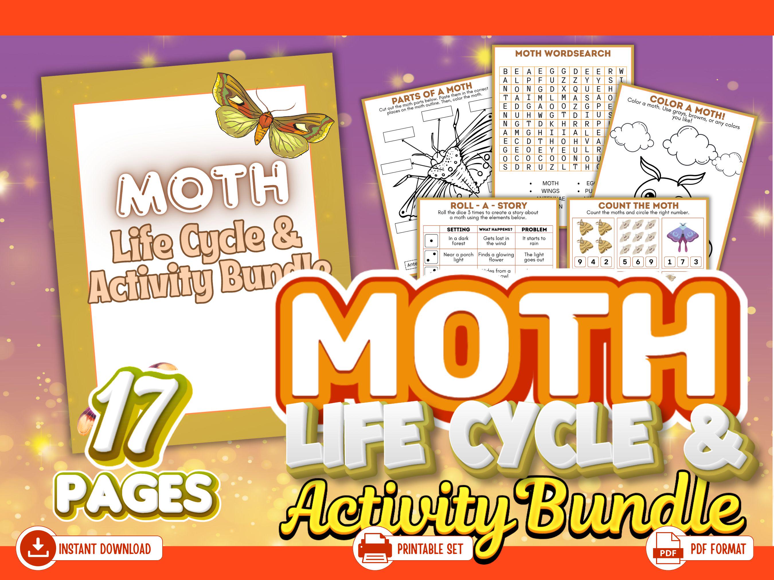 Moth Life Cycle Worksheets Printable, Insect Unit Study for Kids ...