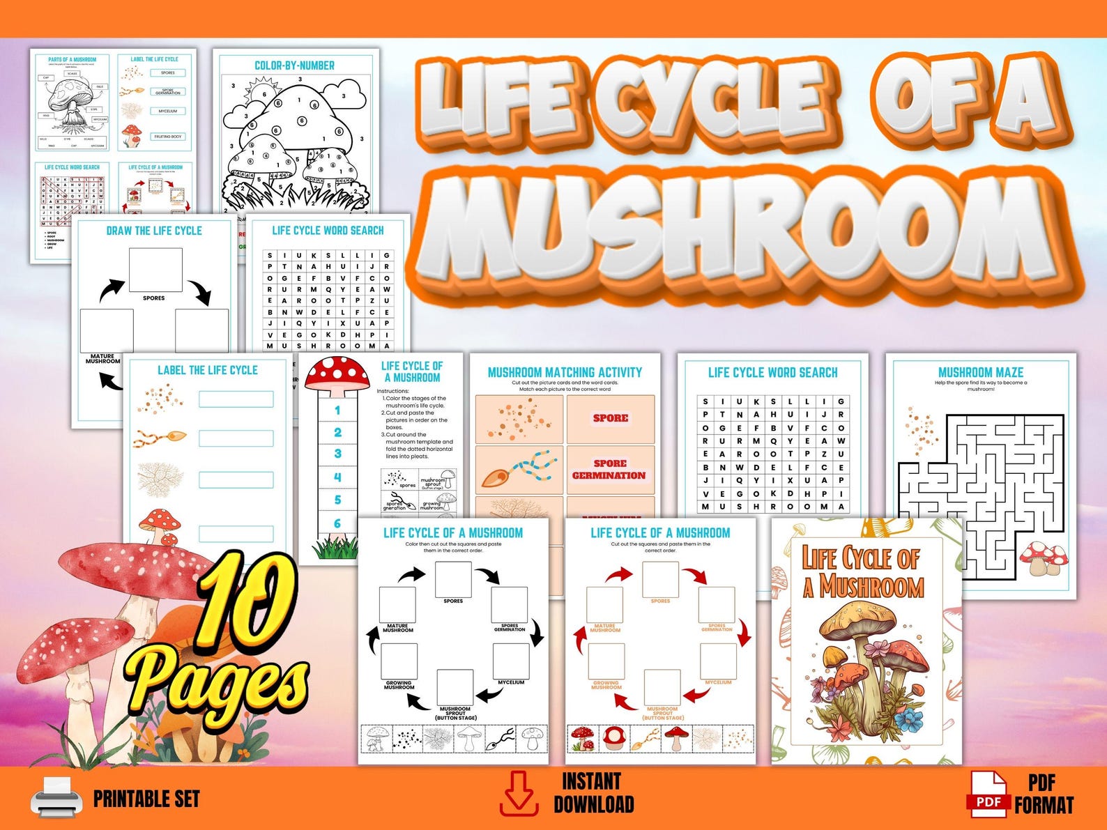 Life Cycle of a Mushroom Worksheets, Mushroom Life Cycle Printable ...