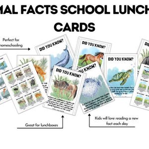 Animal Facts School Lunchbox Cards - Etsy