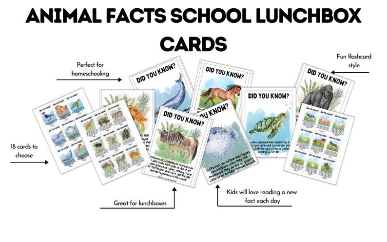 Animal Facts School Lunchbox Cards - Etsy