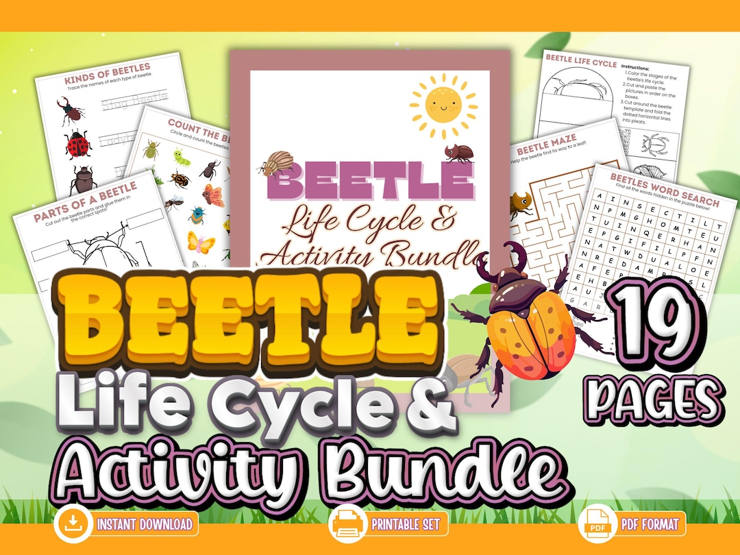 Beetle Life Cycle Activities Printable, Insect Unit Study Worksheets ...