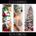 Printable Christmas Bookmarks, Christmas Pictures, Set of 12, Digital ...