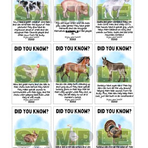 Animal Facts School Lunchbox Cards - Etsy