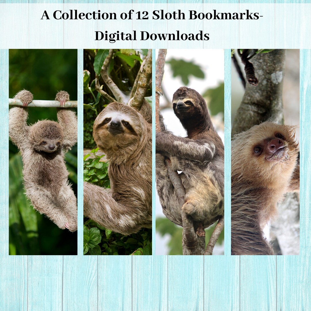 Printable Sloth Bookmarks, Set of 12, Printable Bookmarks, Baby Sloth ...