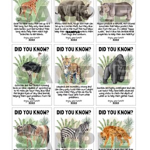 Animal Facts School Lunchbox Cards - Etsy