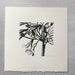 Agapanthus Original Screen Print - Etsy