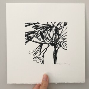 Agapanthus Original Screen Print - Etsy