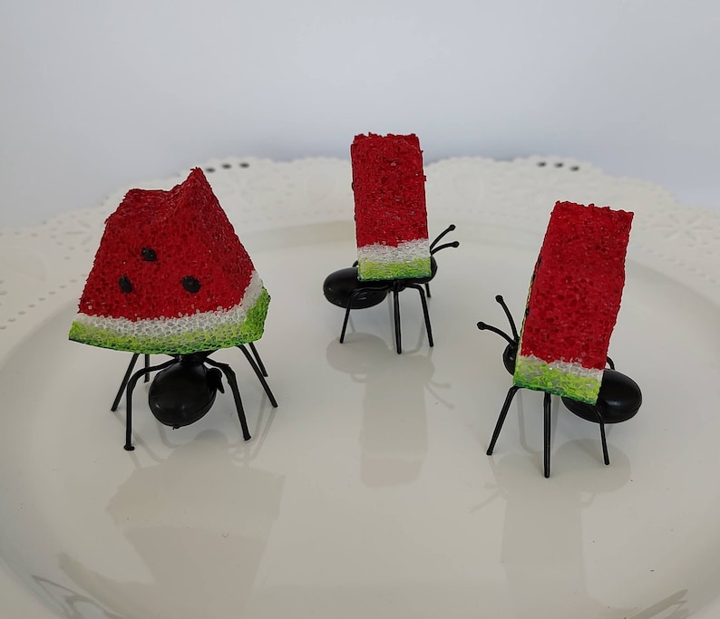 Ant Carrying Watermelon Picnic Decor | Hand Painted Watermelon Slice ...