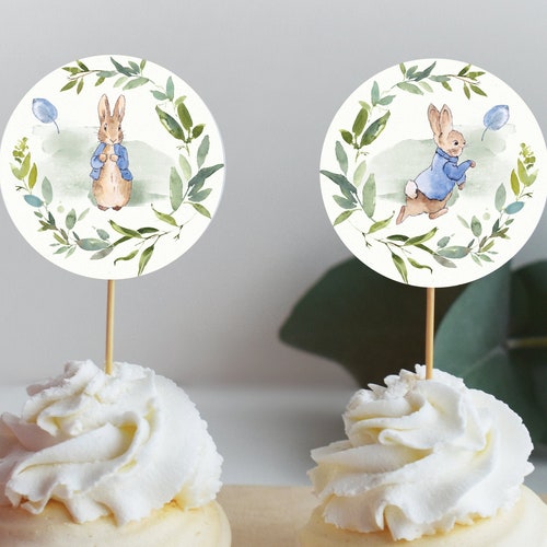 Peter Rabbit Printable Birthday Party Decorations Blue and | Etsy