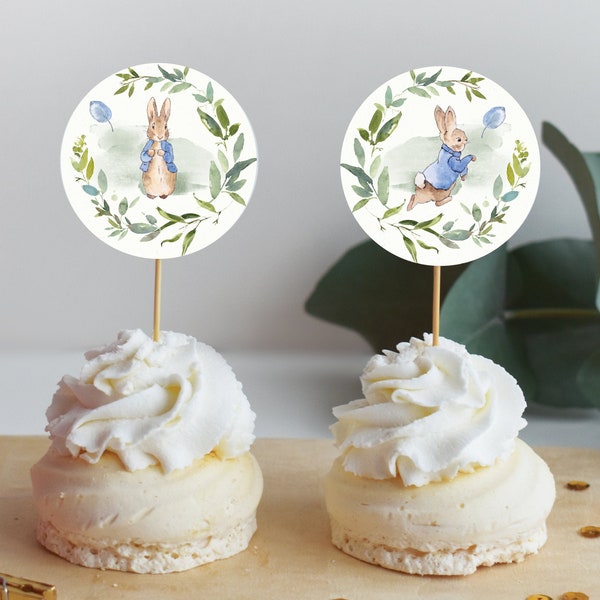 Peter Rabbit Cupcake Topper - Etsy