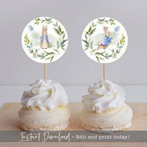 Peter Rabbit Party Cupcake Toppers Printable Bunny Cake - Etsy Australia