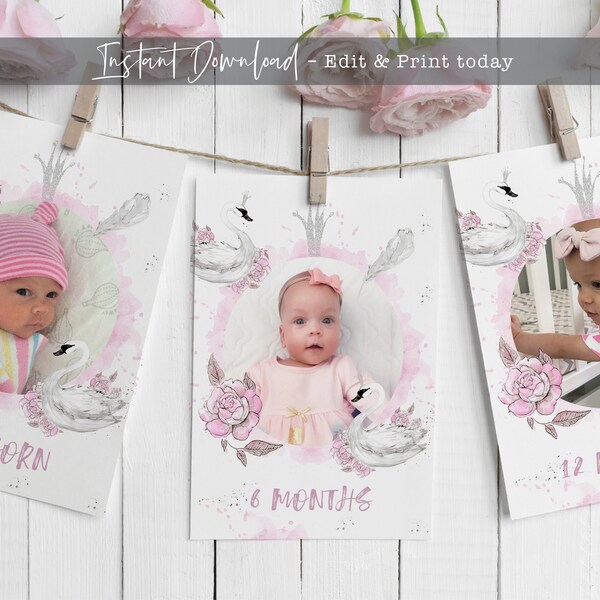 Swan Princess - Etsy