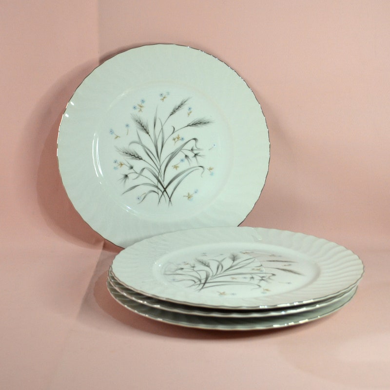 4 Dinner Plates - Etsy