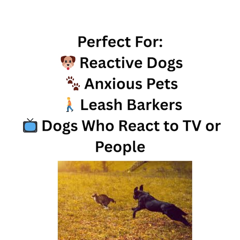 Vagus Nerve Training Plan for Reactive Anxious Dogs | Dog Calming ...