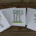 Aspen Tree Note Cards, Blank Inside, Boxed Set of Six, Gift Set ...