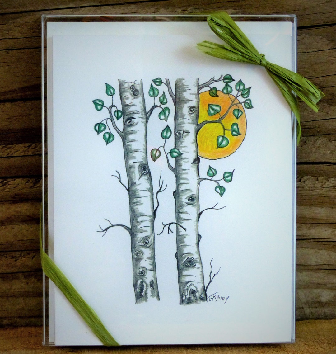Aspen Tree Note Cards, Blank Inside, Boxed Set of Six, Gift Set ...