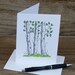 Aspen Tree Note Cards, Blank Inside, Boxed Set of Six, Gift Set ...