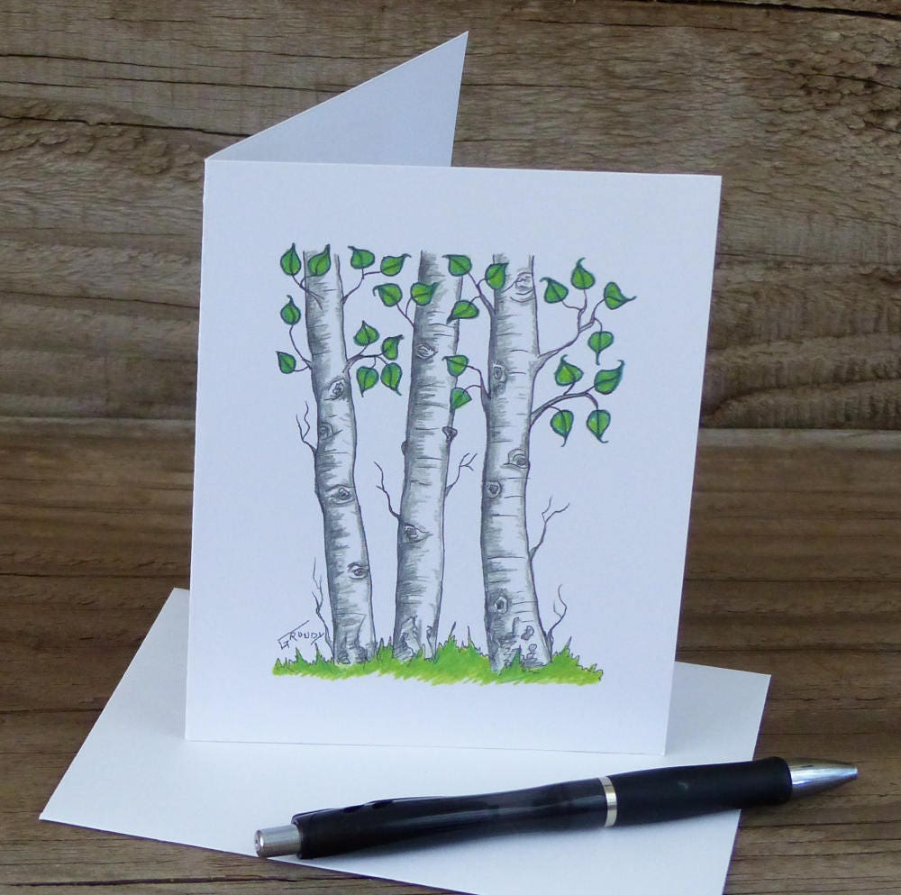 Aspen Tree Note Cards, Blank Inside, Boxed Set of Six, Gift Set ...