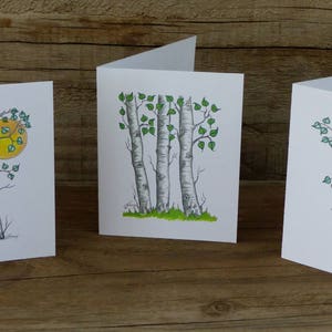 Aspen Tree Note Cards, Blank Inside, Boxed Set of Six, Gift Set ...