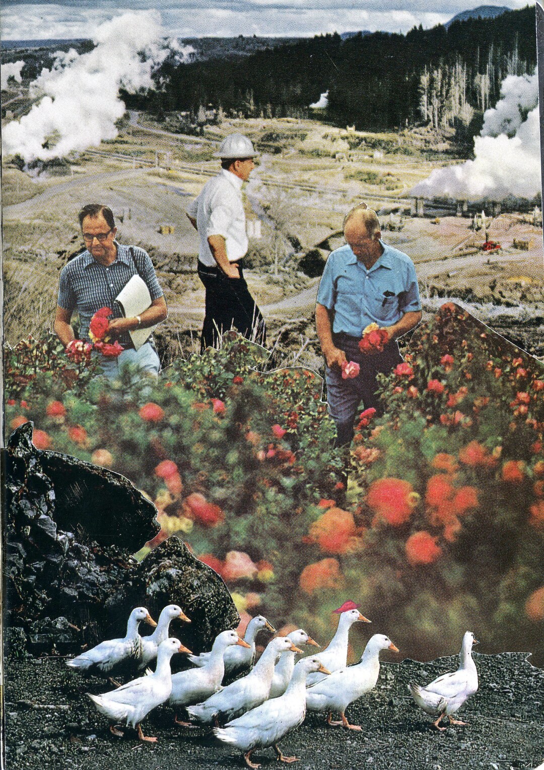 Gander Collage Art Print, Vintage Style, Multiple Sizes Goose ...