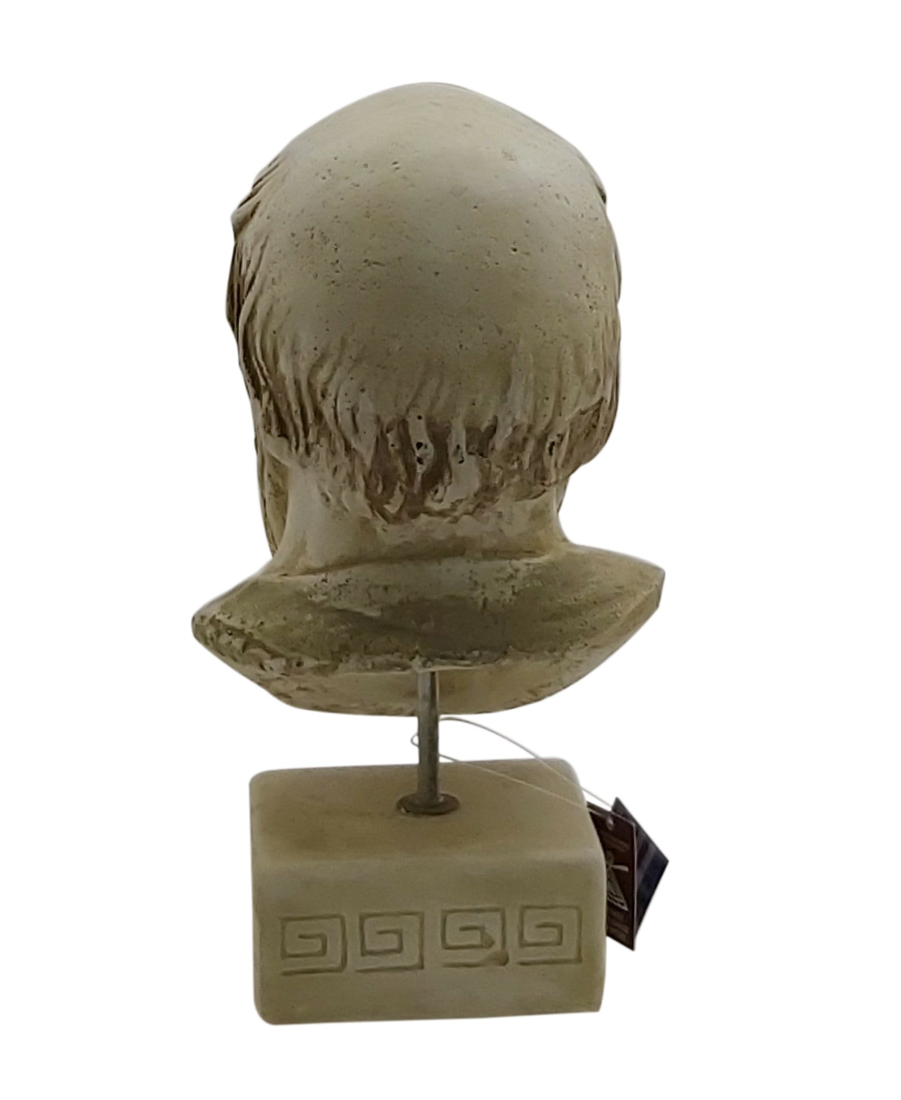 Socrates Ancient Greek Philosopher Bust Head Sculpture Cast | Etsy