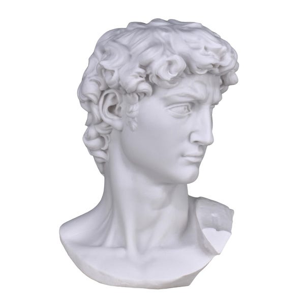 David Bust - Etsy