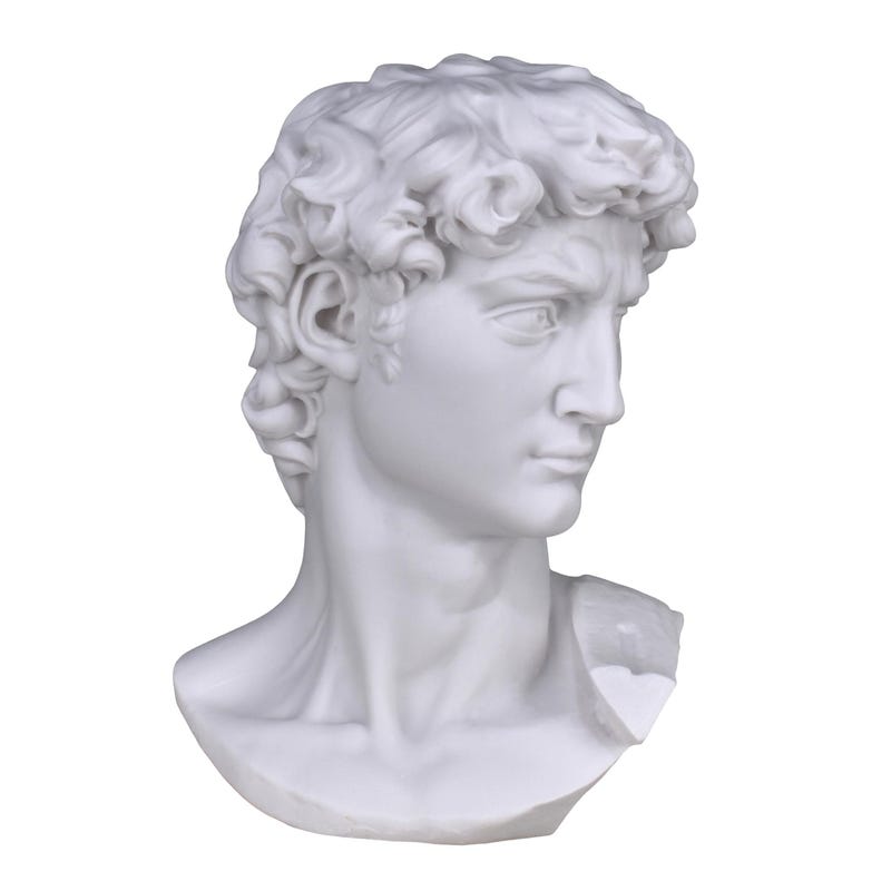 David Bust Head of David - Etsy