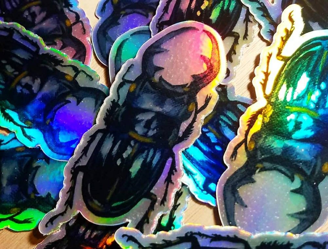 Holographic Beatle Sticker | Waterproof Vinyl | Bug Insect Sticker - Etsy