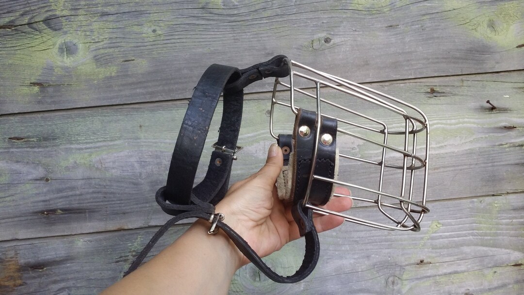 Vintage Dog Muzzle, Dog Collar, Dogs Accessories, Dog Lovers, Vintage ...