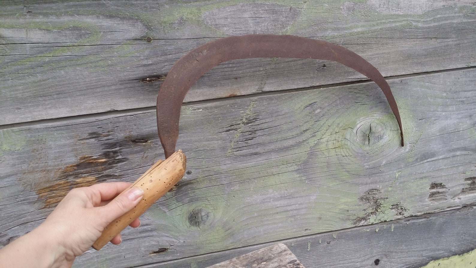 Vintage Sickle, Hand Sickle, Primitive Sickle, Rusty Sickle, Vintage ...