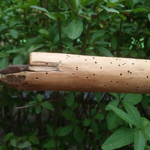 Vintage Sickle, Hand Sickle, Primitive Sickle, Rusty Sickle, Vintage ...