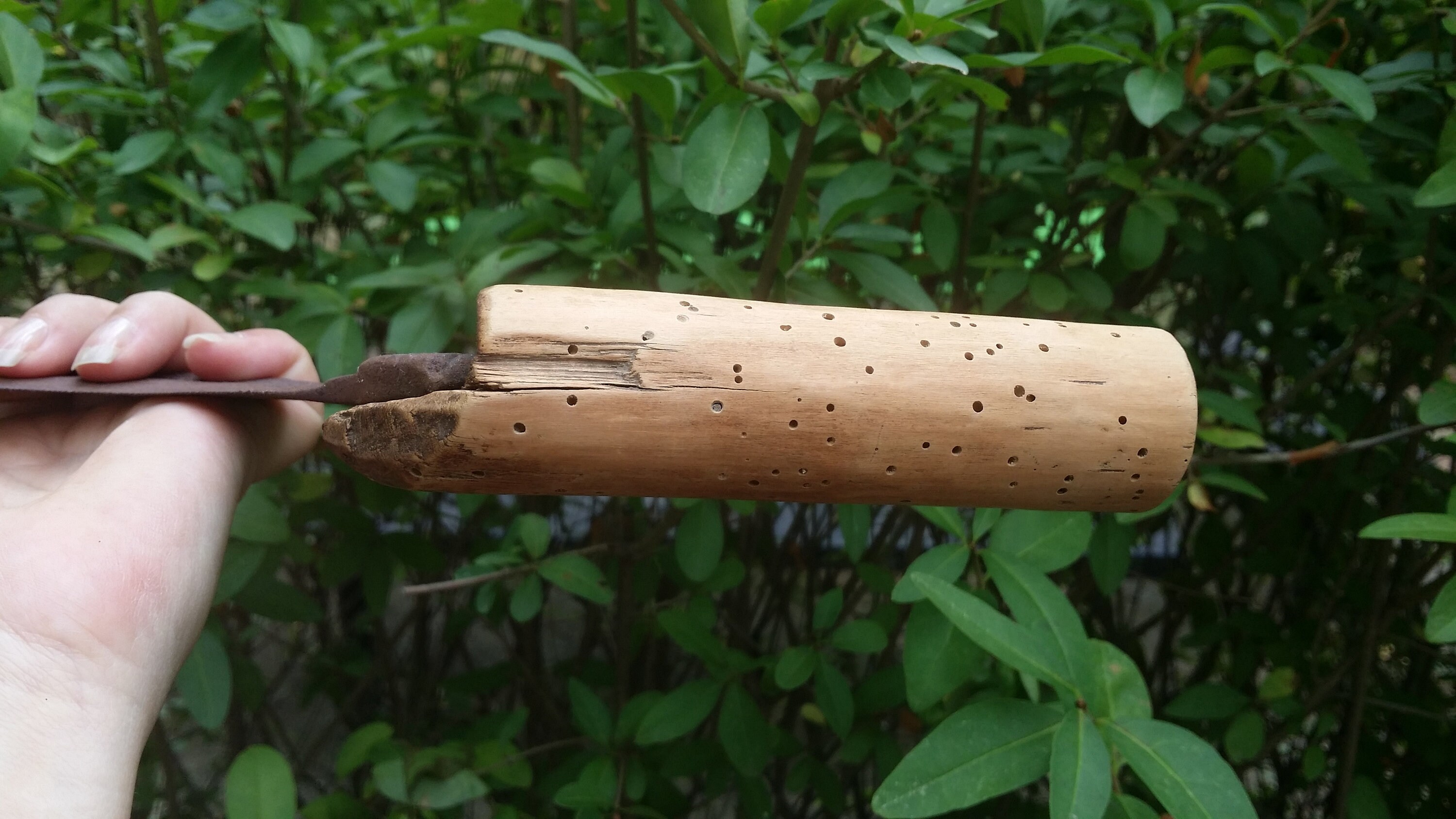Vintage Sickle Hand Sickle Primitive Sickle Rusty Sickle - Etsy