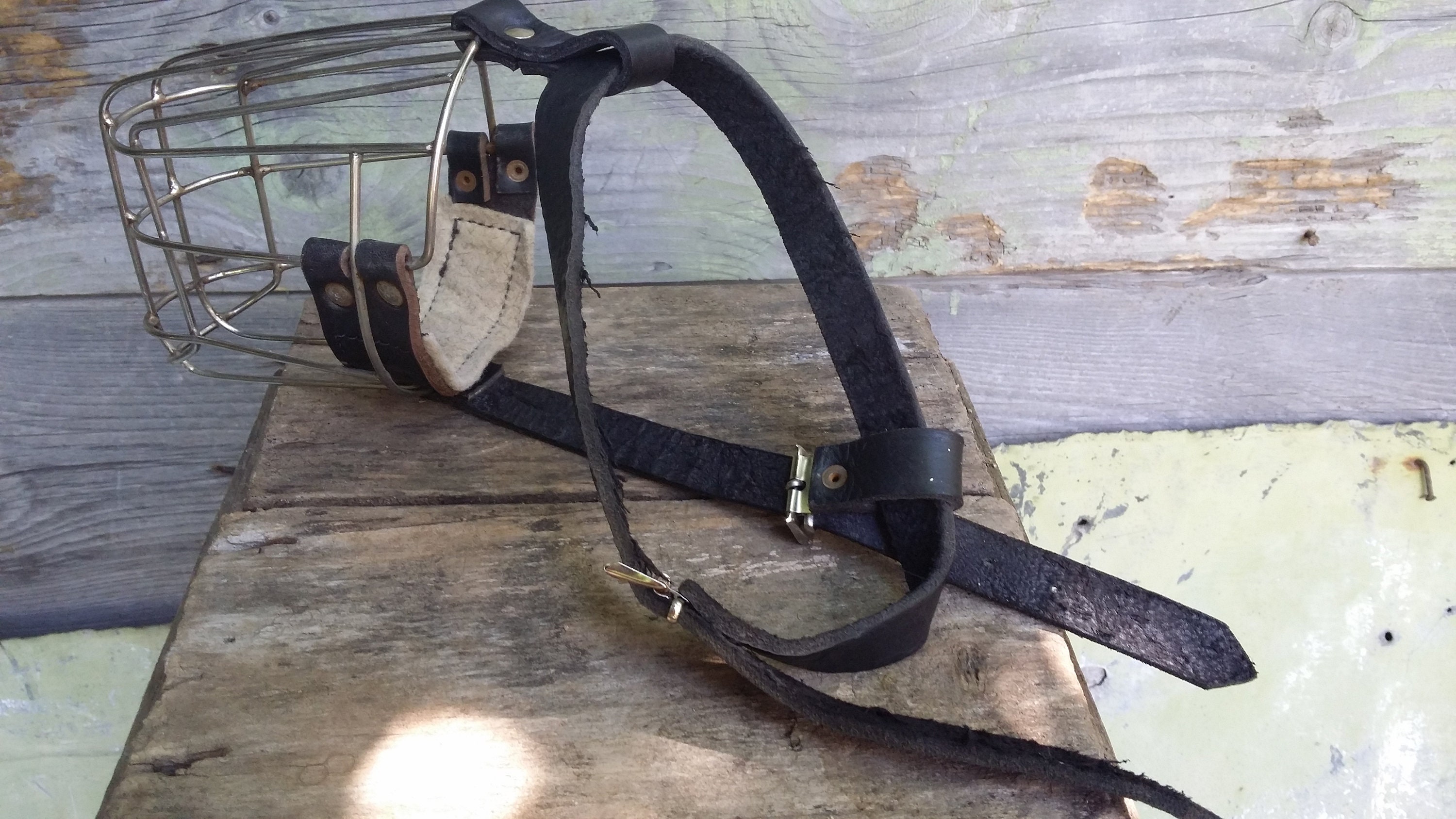 Vintage Dog Muzzle, Dog Collar, Dogs Accessories, Dog Lovers, Vintage ...