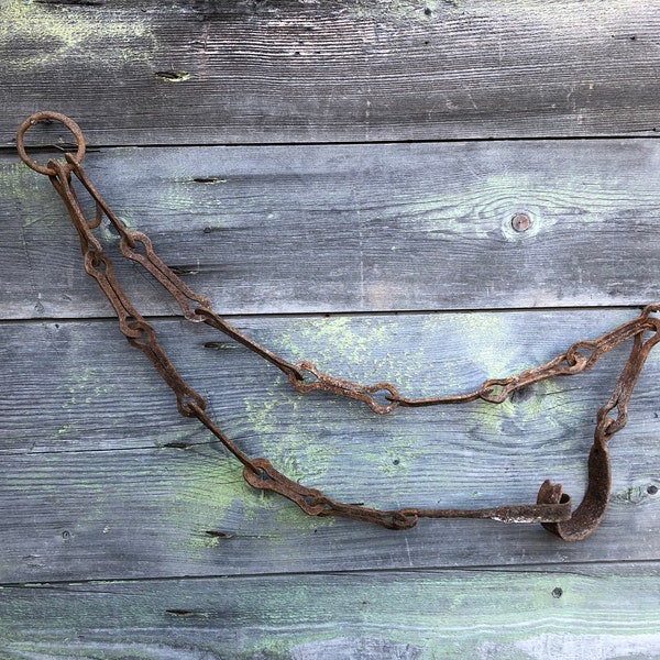 Vintage Slicer, Rusty Slicer, Vintage Cutting Tools, Cheese Cutter ...