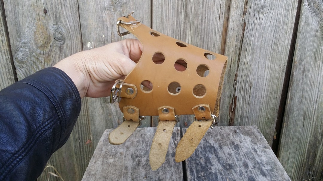 Vintage Dog Muzzle, Dog Collar, Dogs Accessories, Dog Lovers, Vintage ...