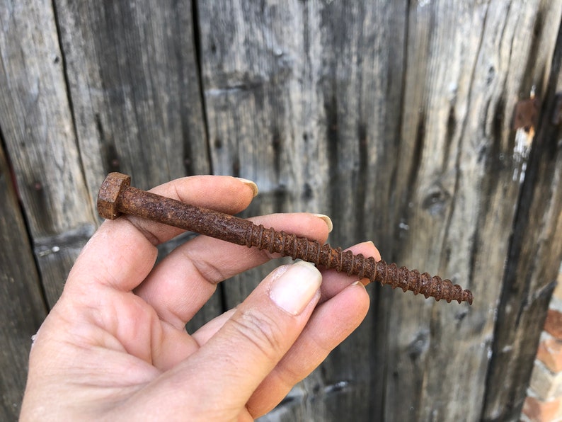 Vintage Rusty Screws Set of 15 Screws Large Screws Big - Etsy