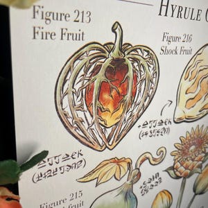 Hyrule Compendium Tears of the Kingdom Breath of the Wild Embossed ...