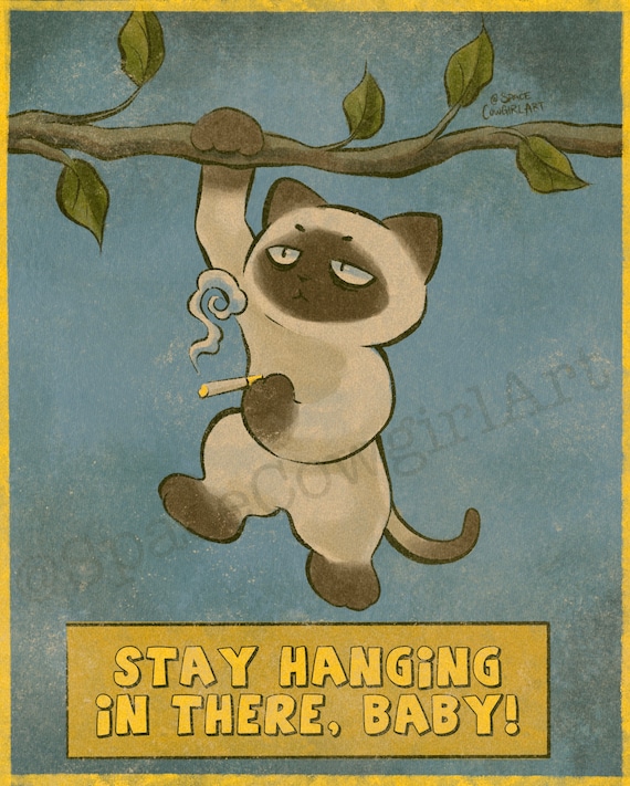 Hang In There Baby Cat Poster