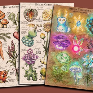 Hyrule Compendium Breath of the Wild Tears of the Kingdom Botanical ...