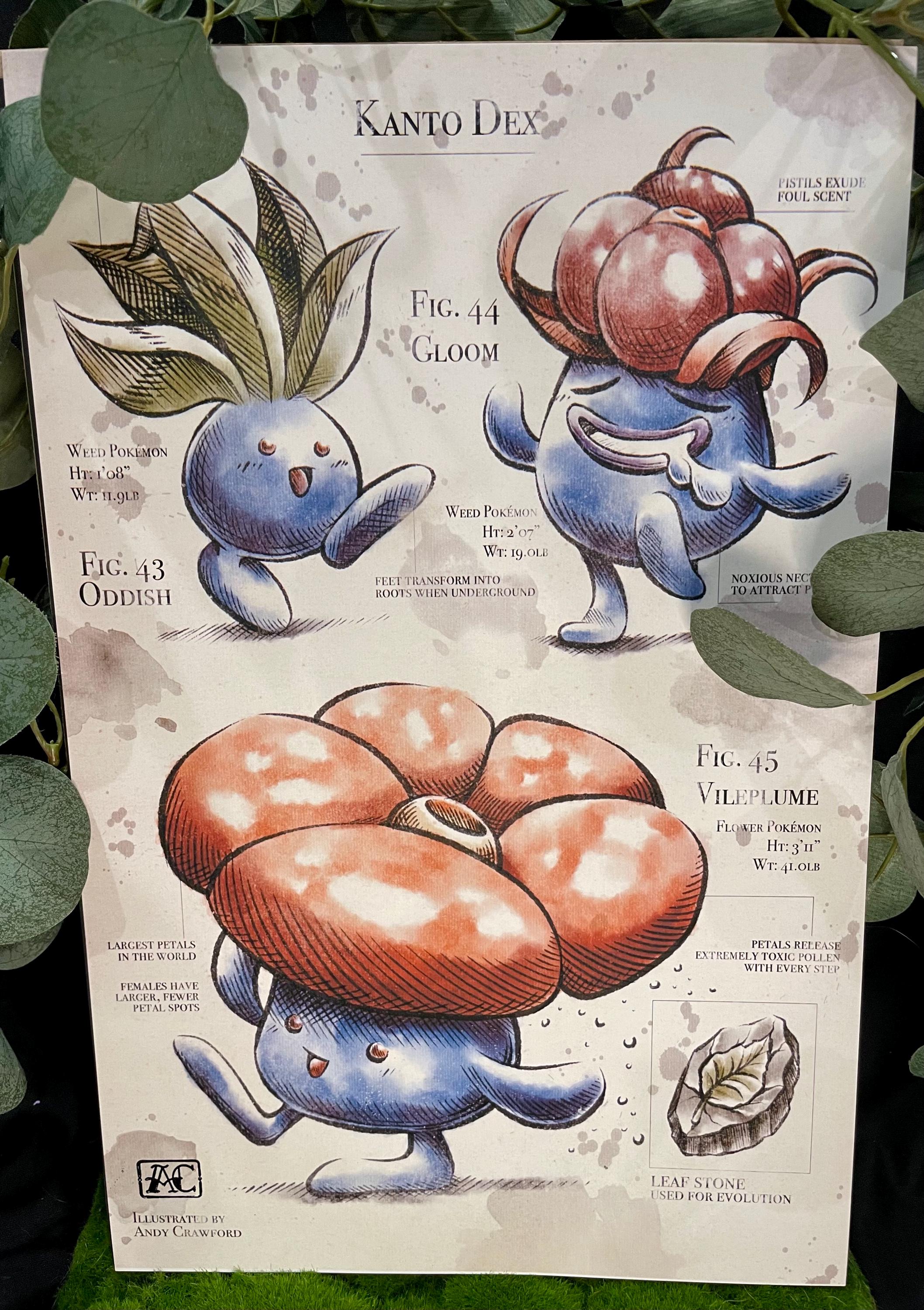 Pokemon Gloom Evolution