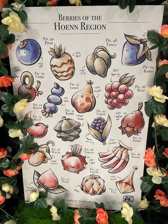 All Hoenn Pokemon Names