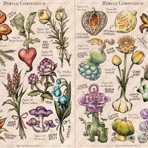 Hyrule Compendium Breath of the Wild Tears of the Kingdom Botanical ...