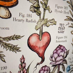 Hyrule Compendium Breath of the Wild Tears of the Kingdom Botanical ...